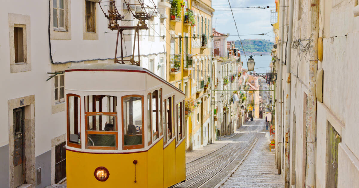 Mind expands distribution for Zünd in Portugal